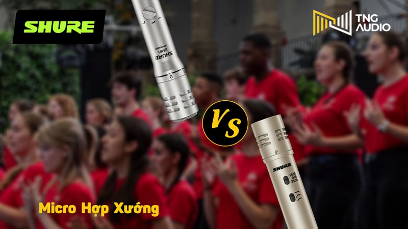 Micro cho hợp xướng, nên dùng KSM137 hay SM81? | TNG Audio